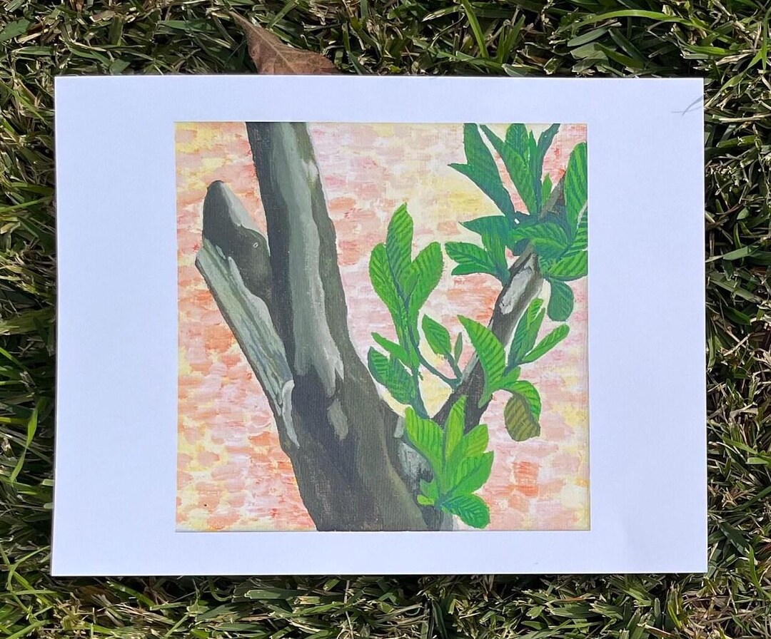 Spring-inspired Art Print 8.5x11 Unframed Cardstock Guava Tree ...