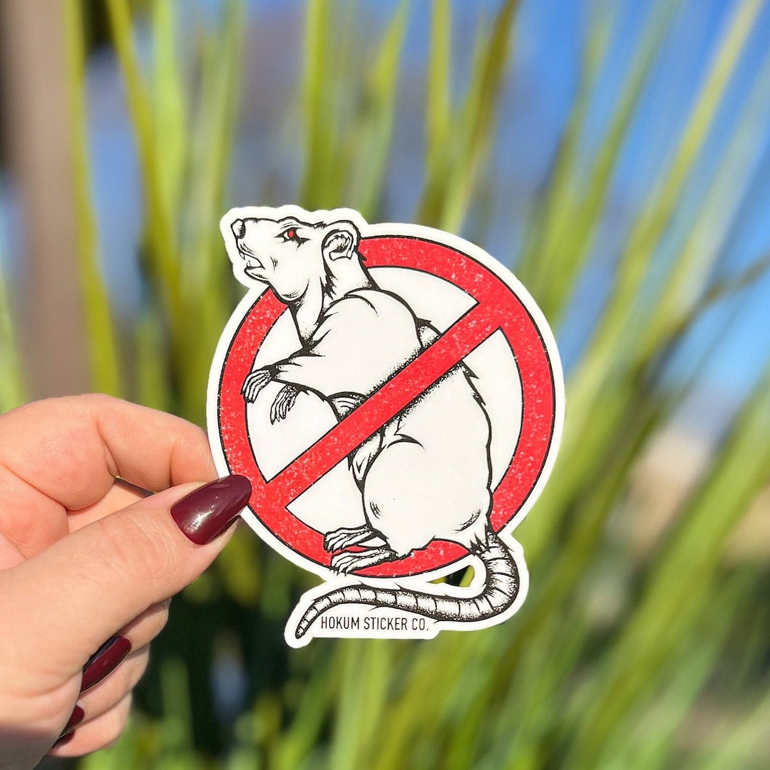 No Rats Sticker Union Lineman Hard Hat Trade - Etsy