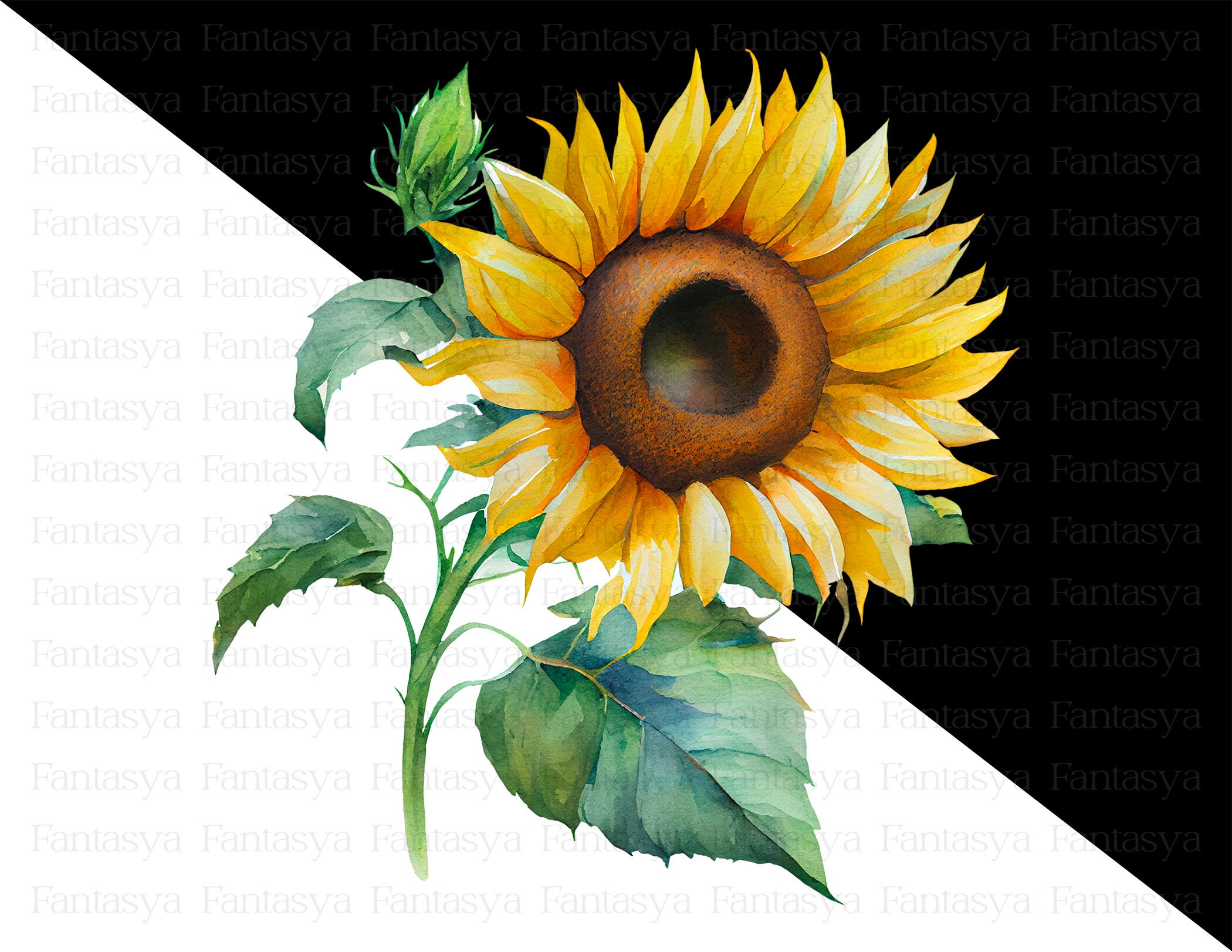 Watercolor Sunflowers Clipart Sunflower Png Floral - Etsy