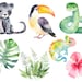 Watercolor Jungle Animals Clipart Safari Animals Clipart - Etsy