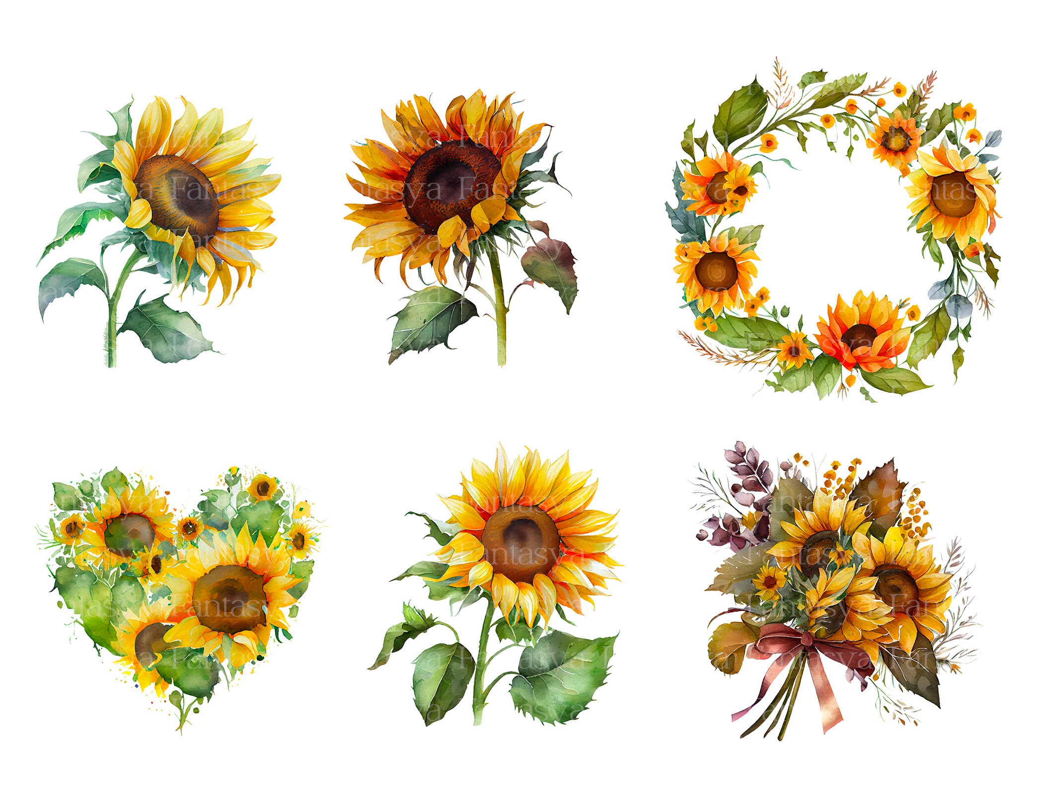Watercolor Sunflowers Clipart Sunflower Png Floral - Etsy