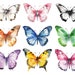 Butterflies Watercolor Clipart Bundle Nursery Decor Spring Graphics ...