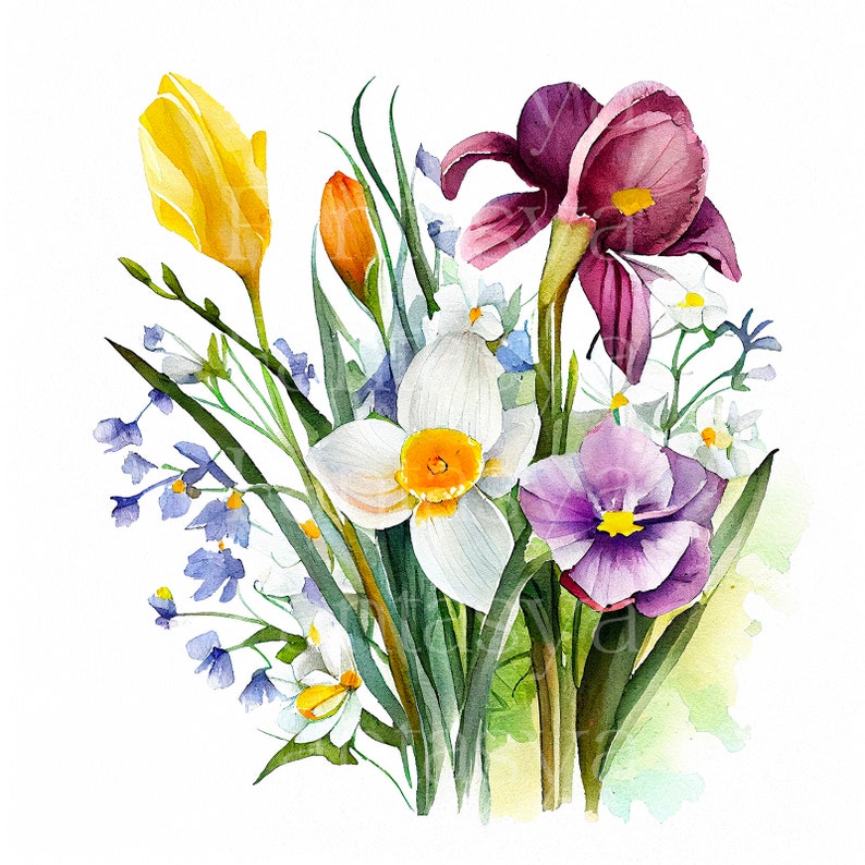 Spring Flowers Images Watercolor Clipart Pack Scrapbook - Etsy