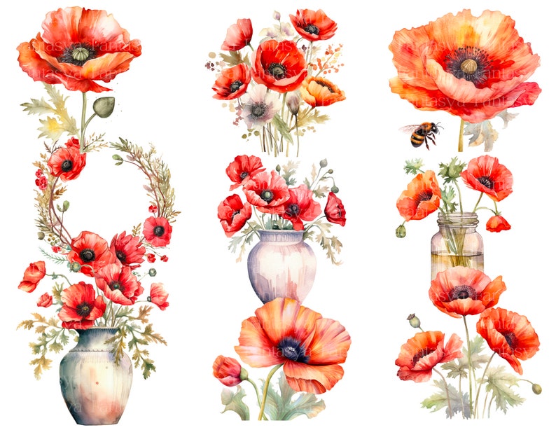Watercolor Poppy Clipart Poppies Flowers Spring Floral - Etsy