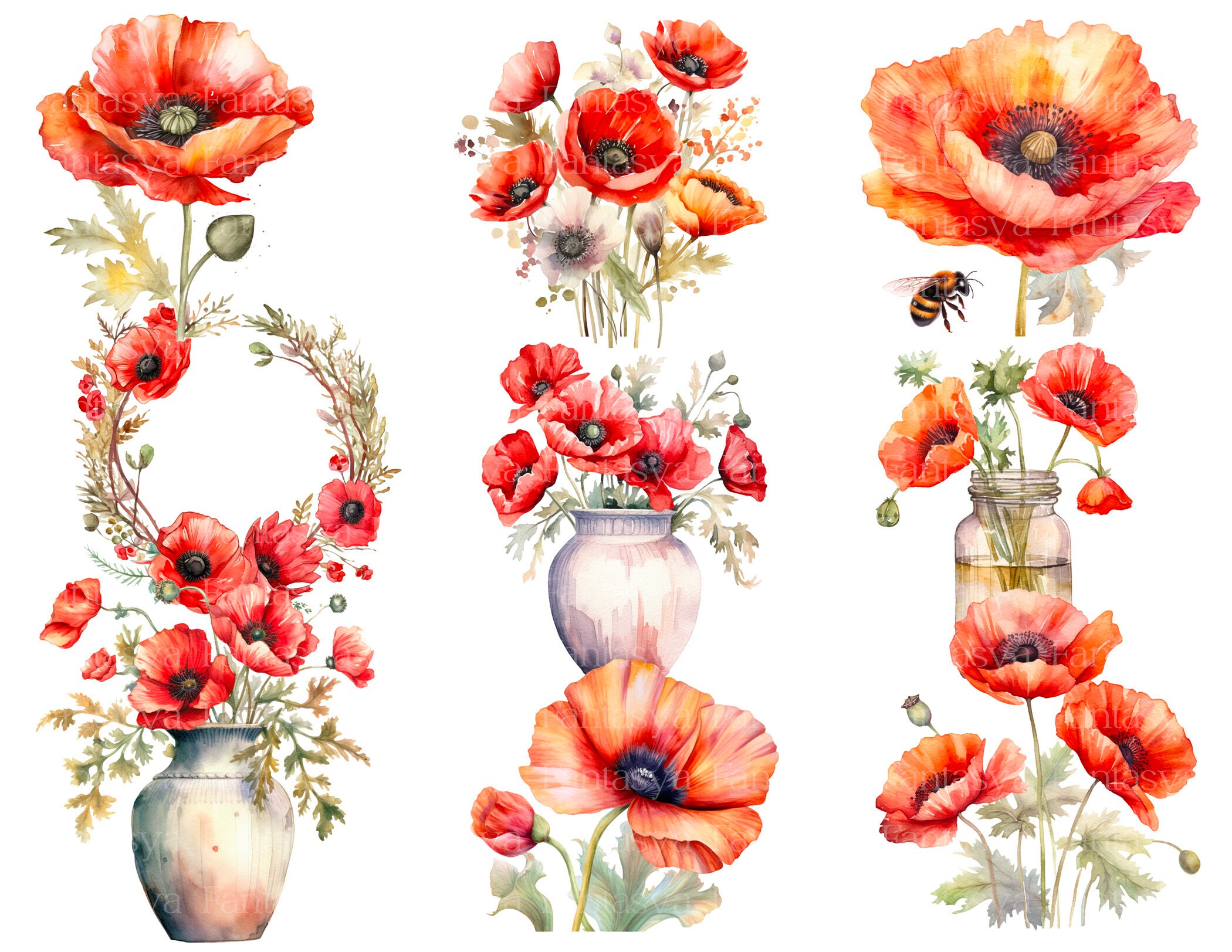 Watercolor Poppy Clipart Poppies Flowers Spring Floral - Etsy