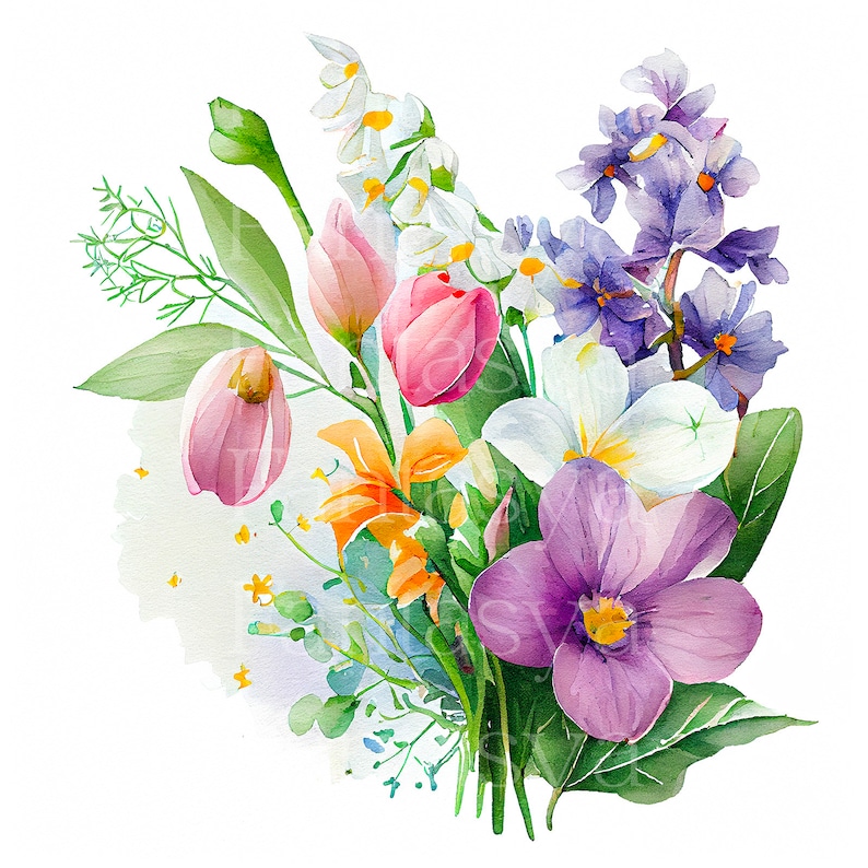 Spring Flowers Images Watercolor Clipart Pack Scrapbook - Etsy