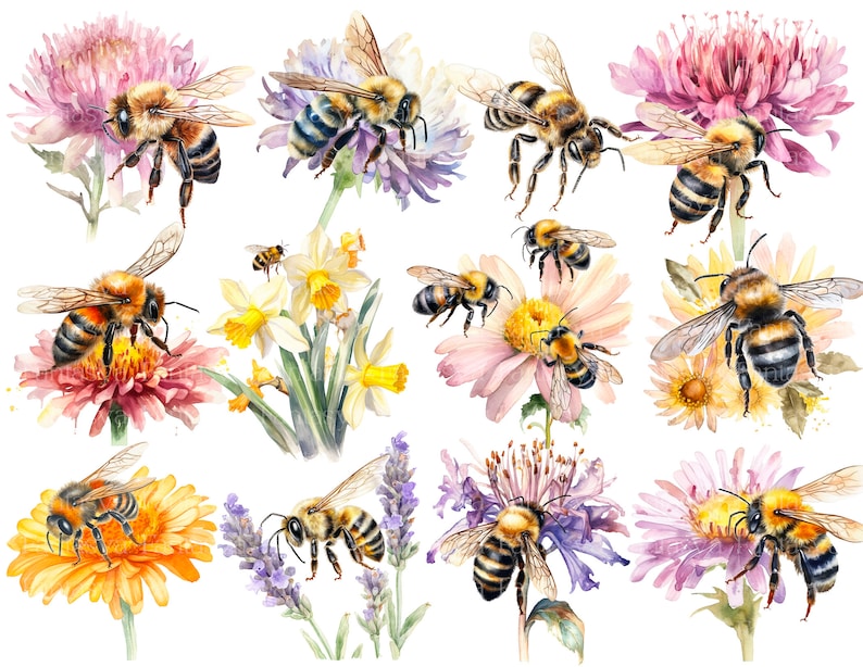 Bee Clipart Watercolor Bees and Flowers Floral Bees - Etsy UK
