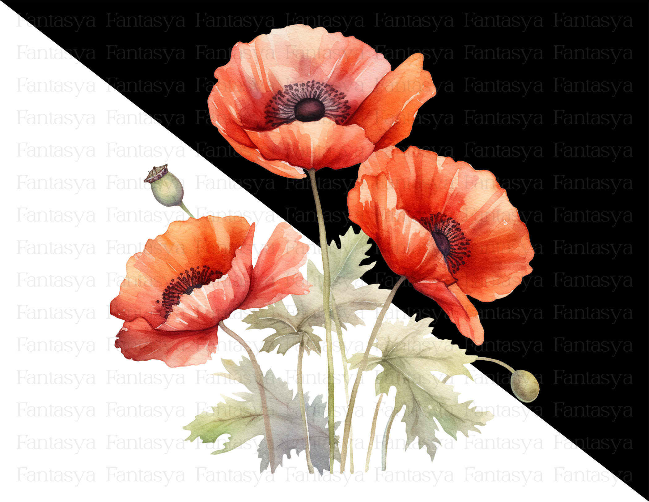 Watercolor Poppy Clipart Poppies Flowers Spring Floral - Etsy