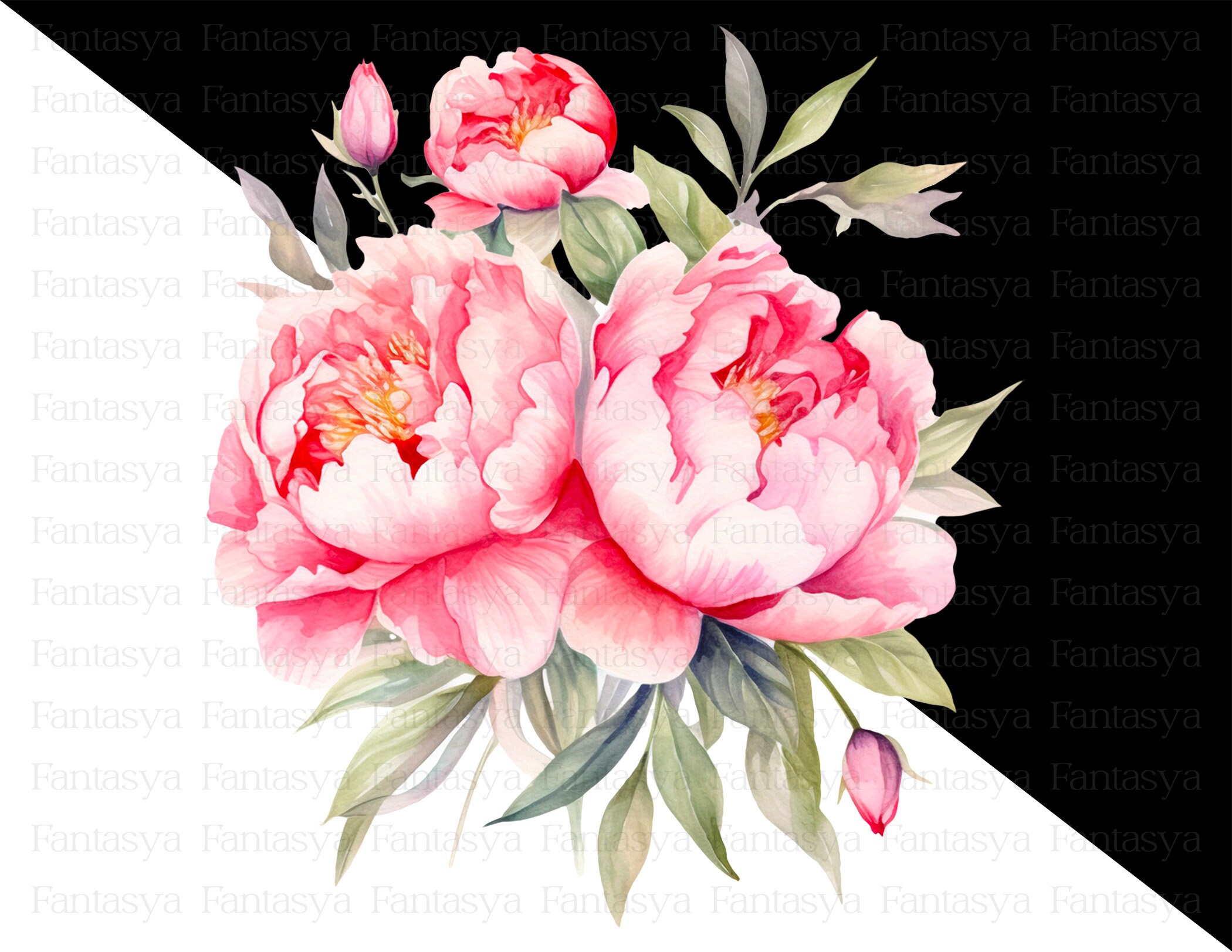 Peony Flowers Clipart Pink Peony Watercolor Peonies - Etsy