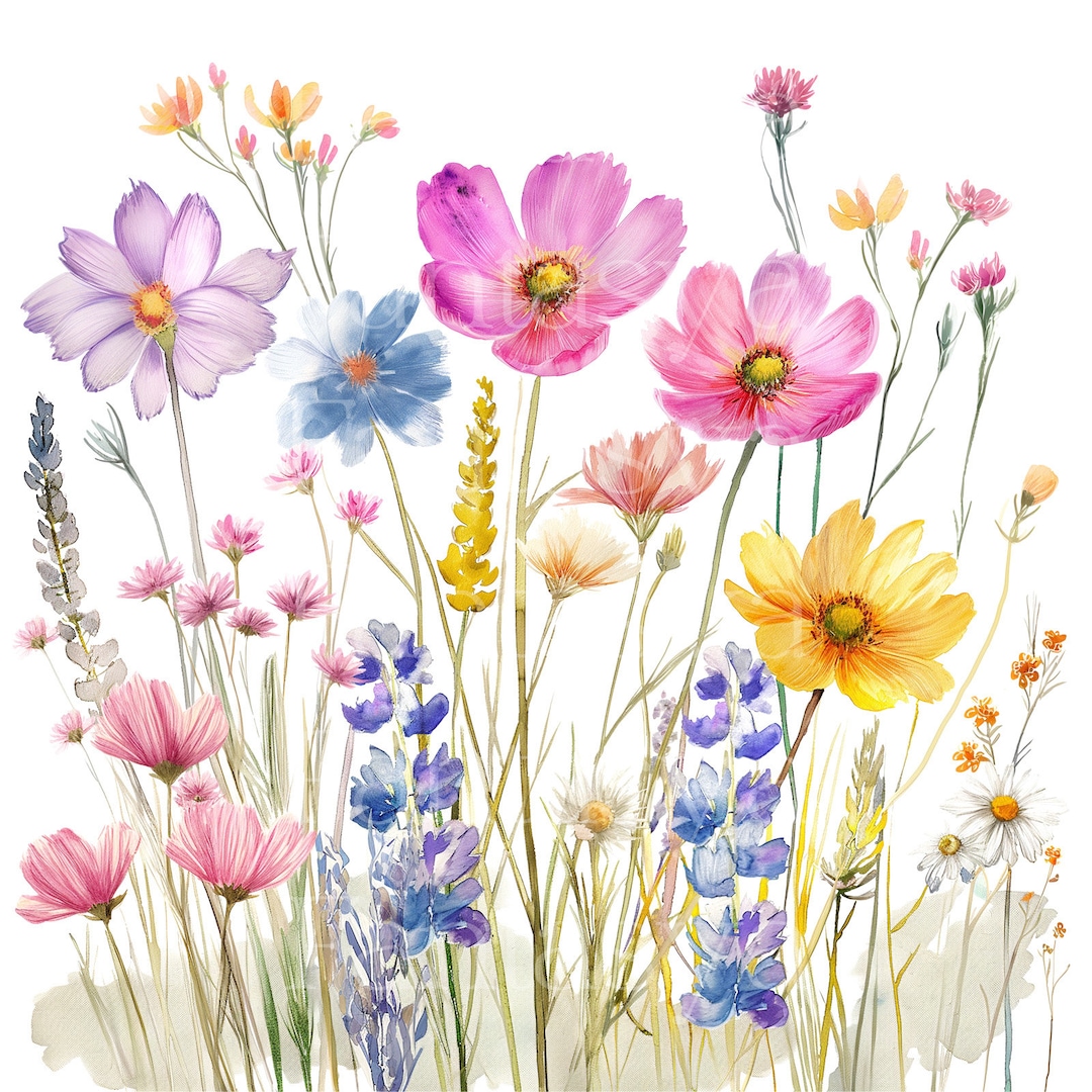 Wildflower Watercolor Clipart Pack Commercial Use 10 Flower Images ...