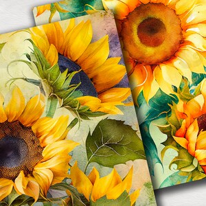 Sunflowers Digital Paper Pack: Watercolor Floral Backgrounds in Warm ...