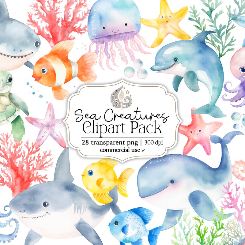 Sea Animal Clipart - Etsy