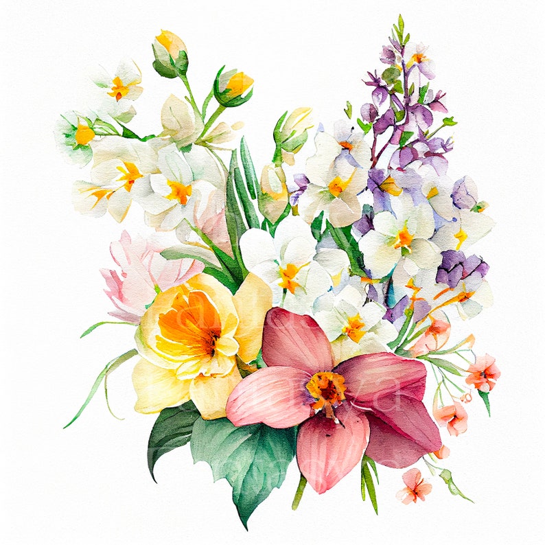 Spring Flowers Images Watercolor Clipart Pack Scrapbook - Etsy