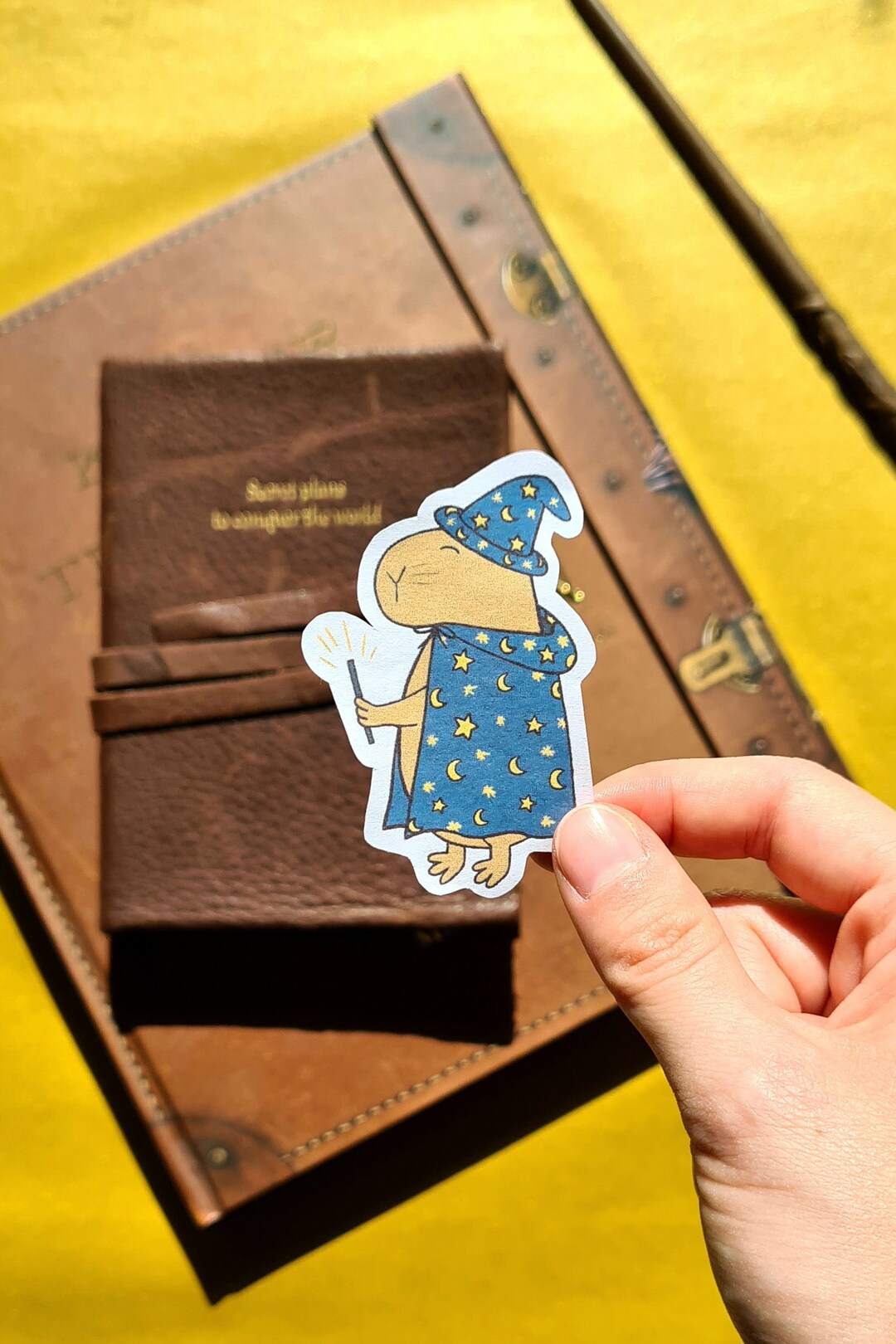 Capybara Stickers Capybara Wizard Digital Capybara - Etsy