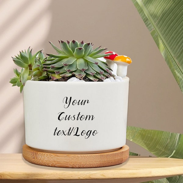 Custom Succulent Pot Logo - Etsy