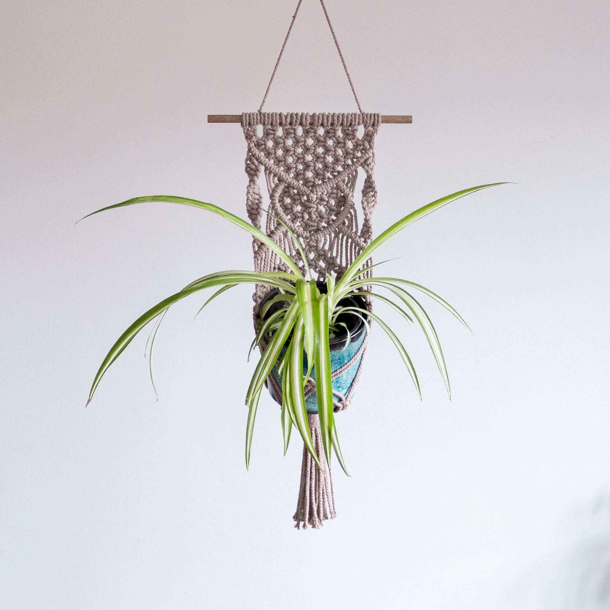 Macrame Wall Plant Hanger Macrame Wall Hanging Plant Holder - Etsy