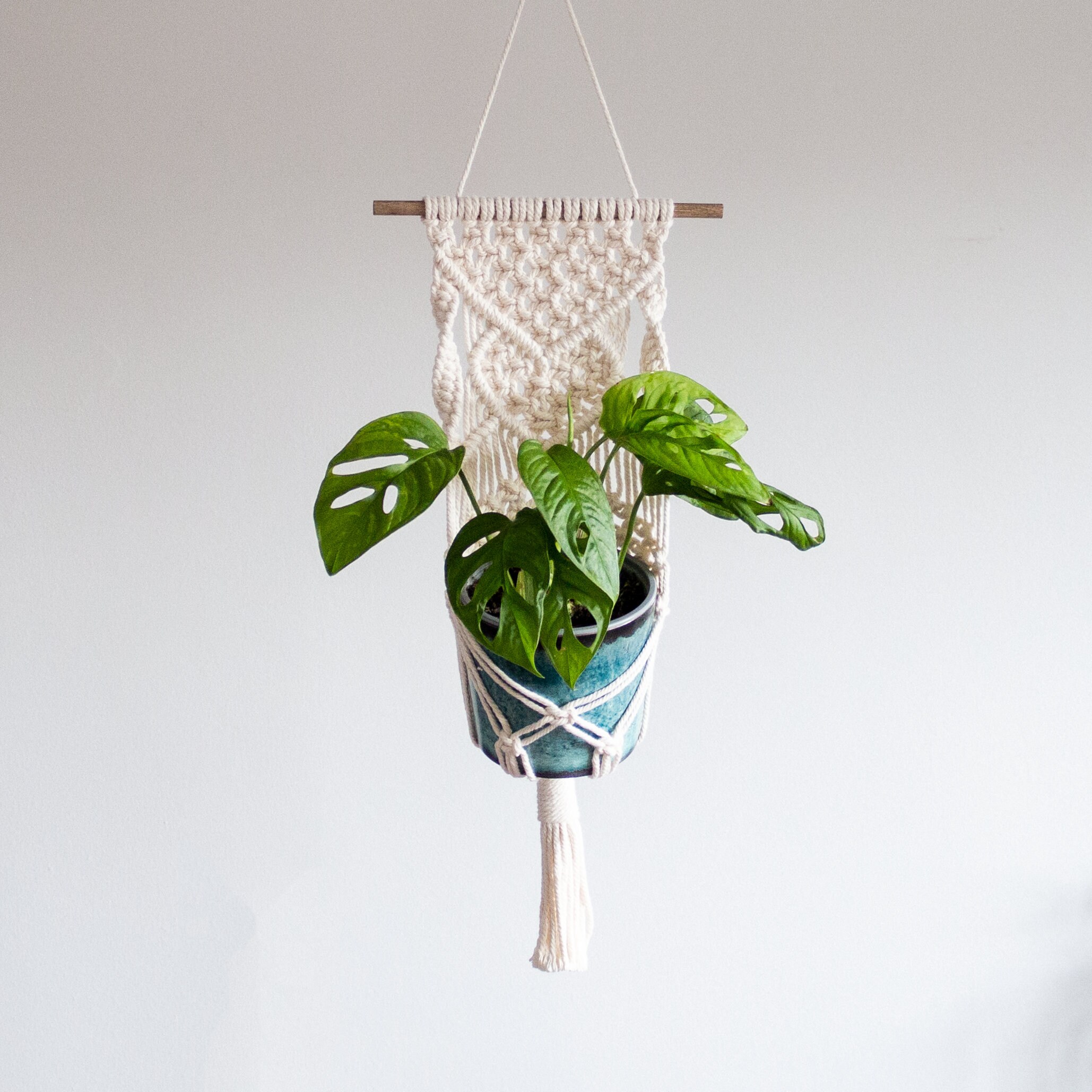 Macrame Wall Plant Hanger Macrame Wall Hanging Plant Holder - Etsy