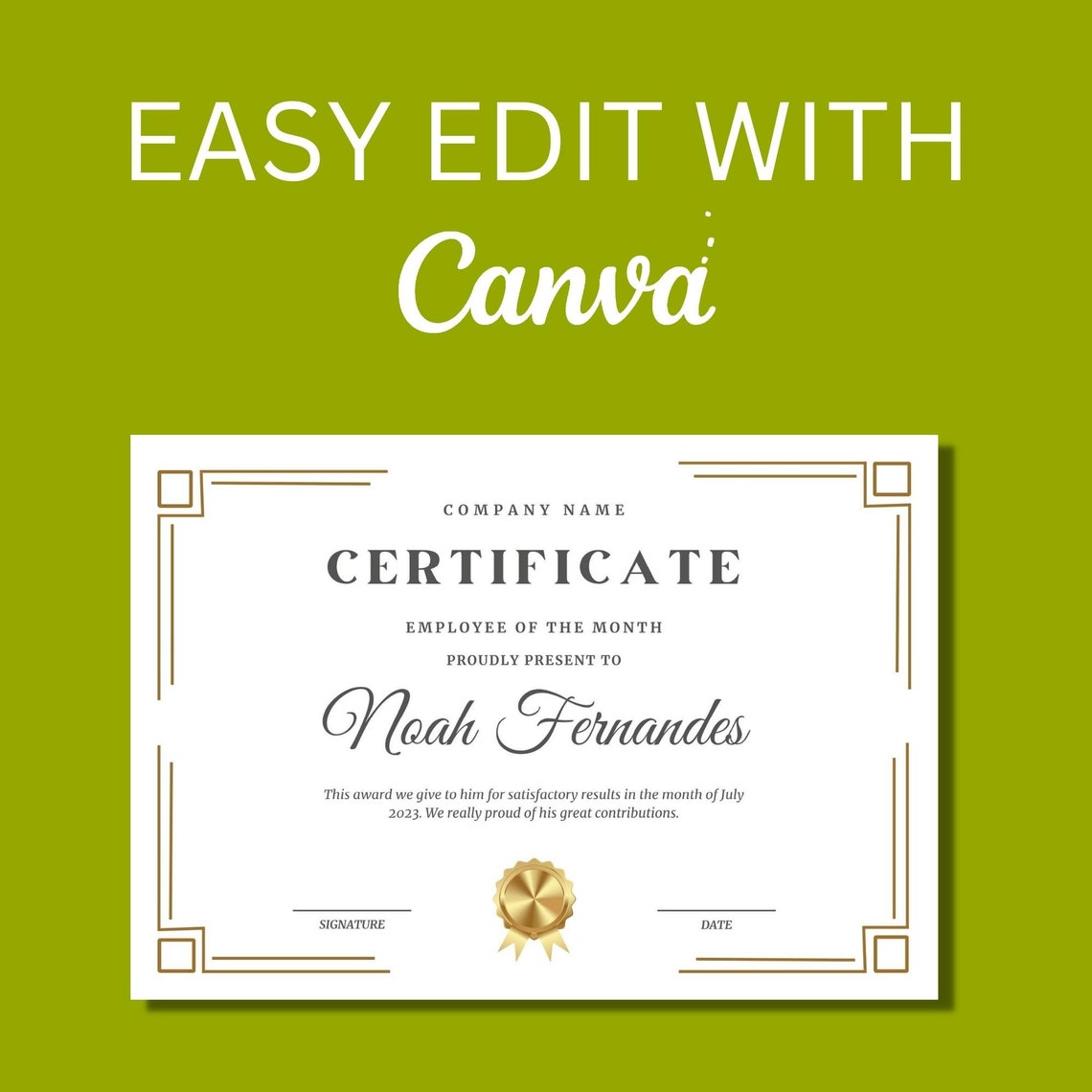 Editable Certificate of Appreciation Template, Printable Certificate of ...