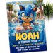 Pool Party Sonic Invitation, Super Hedgehog Kids Party E-invite ...