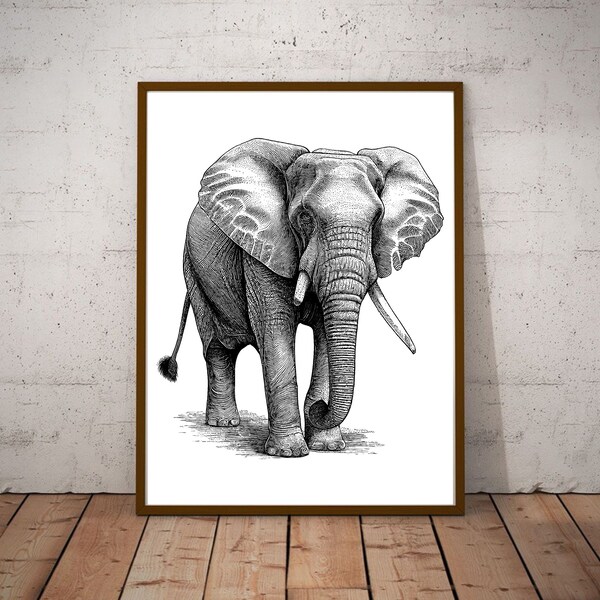 Pen and Ink Elephant - Etsy