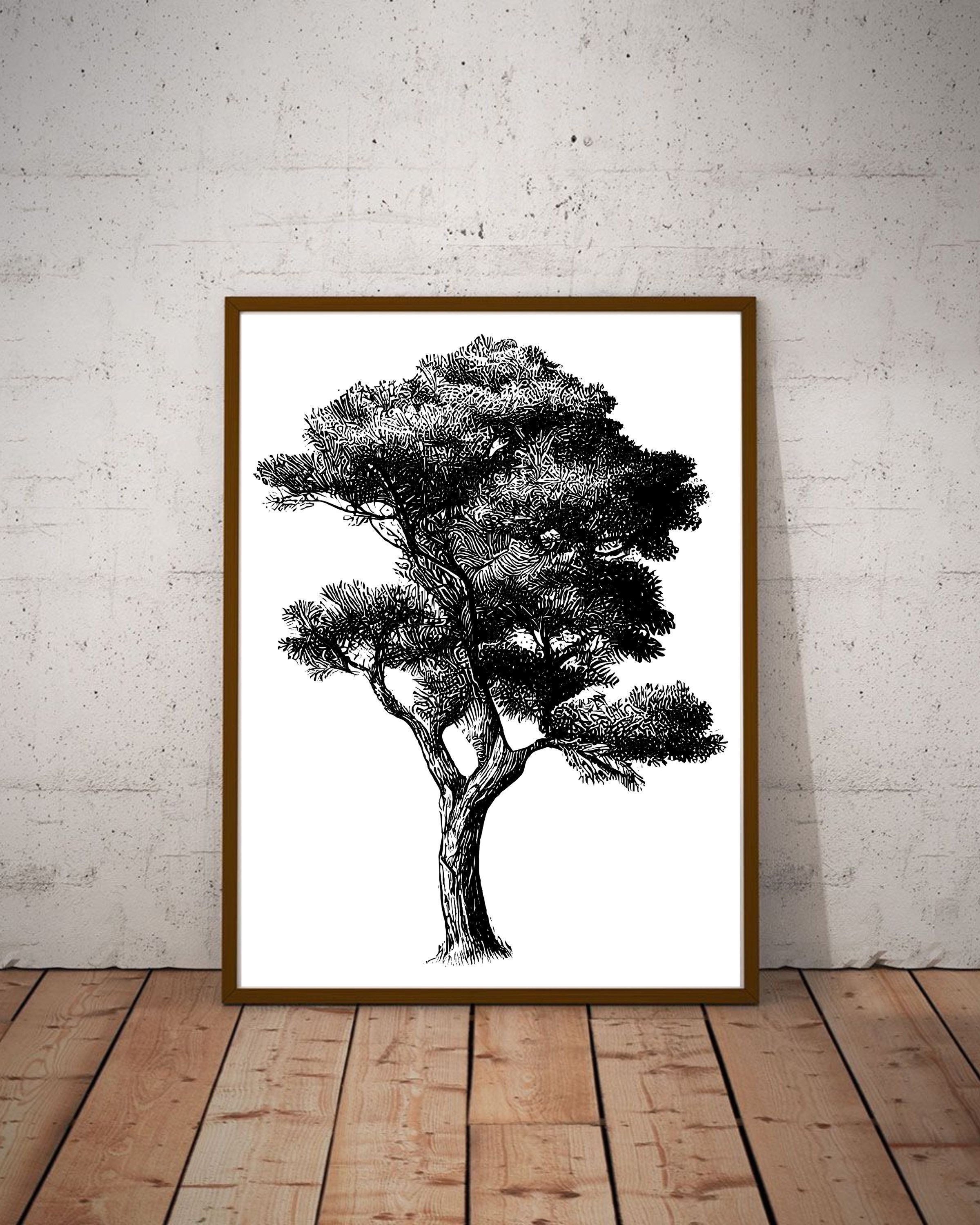 8 Vintage Tree Illustrations / Antique Botanical Tree Drawing / Black ...