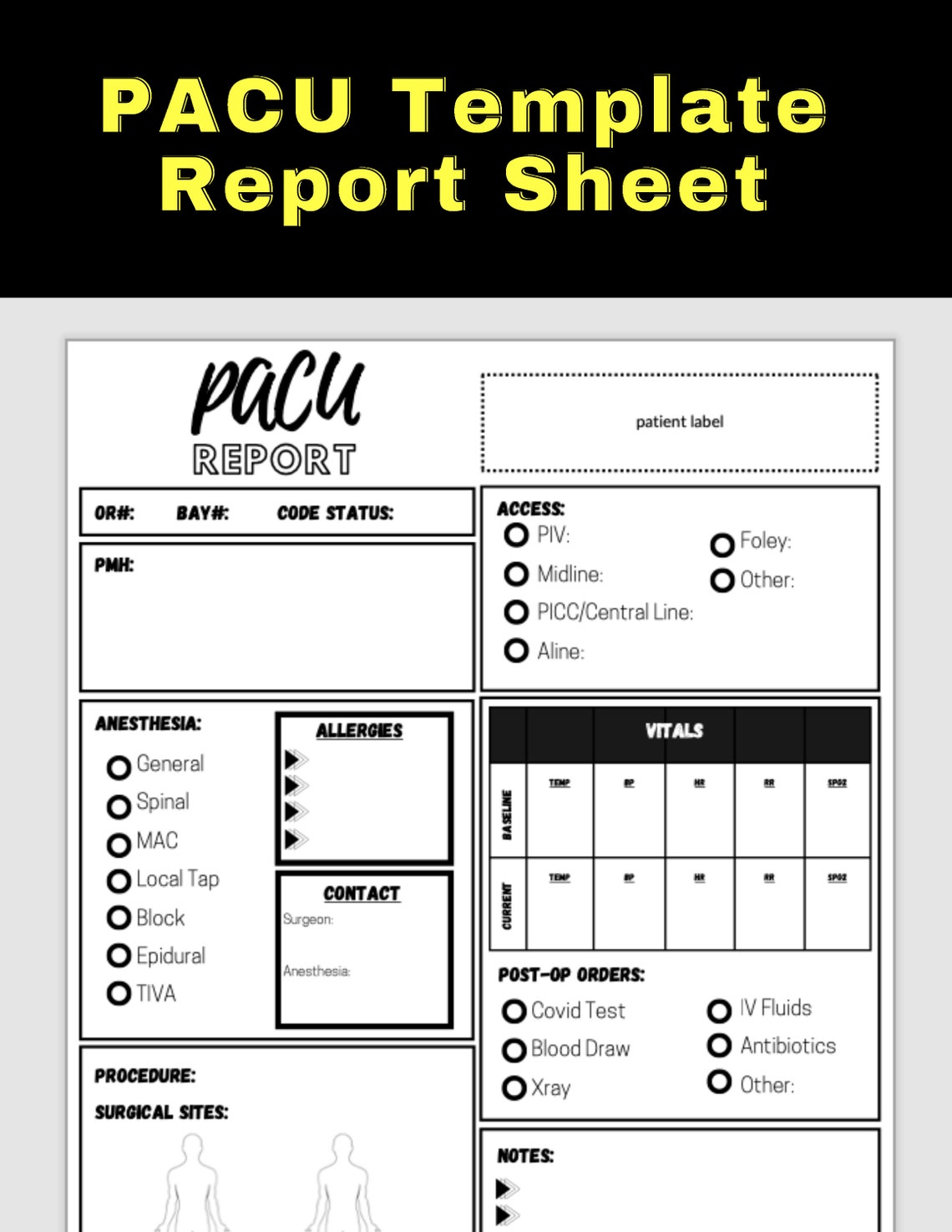Printable Nursing Report Sheet, Nurse Brain Sheet, Single Patient ...
