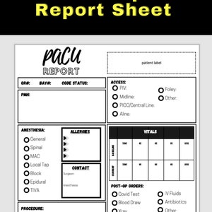 Printable Nursing Report Sheet, Nurse Brain Sheet, Single Patient ...