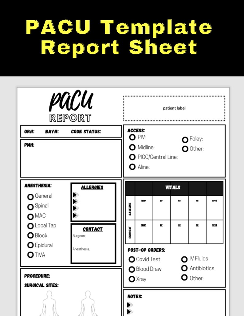 Printable Nursing Report Sheet, Nurse Brain Sheet, Single Patient ...