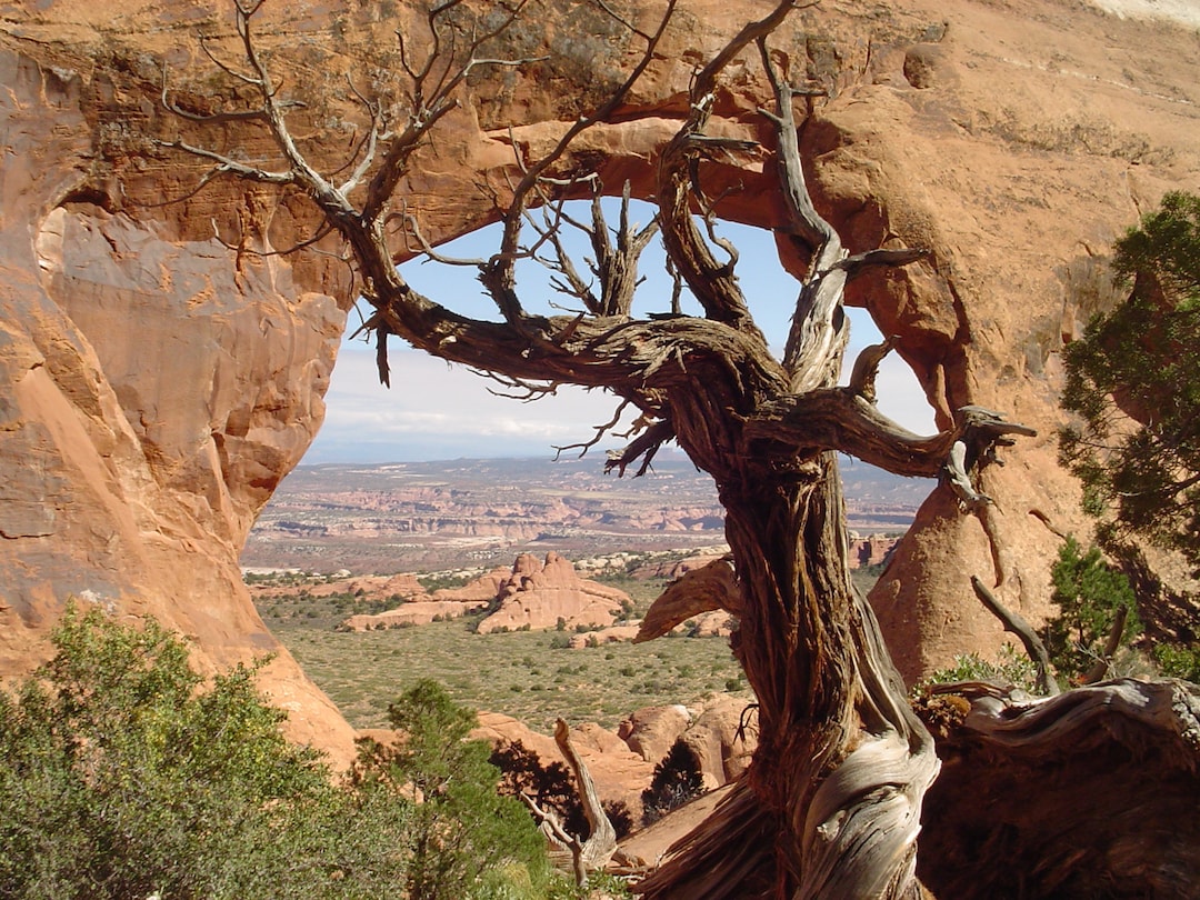 Partition Arch, Arches National Park 24x36 Framed Thin Canvas Print - Etsy