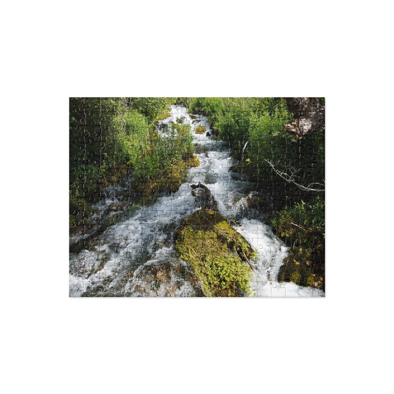 Forest Stream Jigsaw Puzzle Nature Photography Puzzle 252 - Etsy
