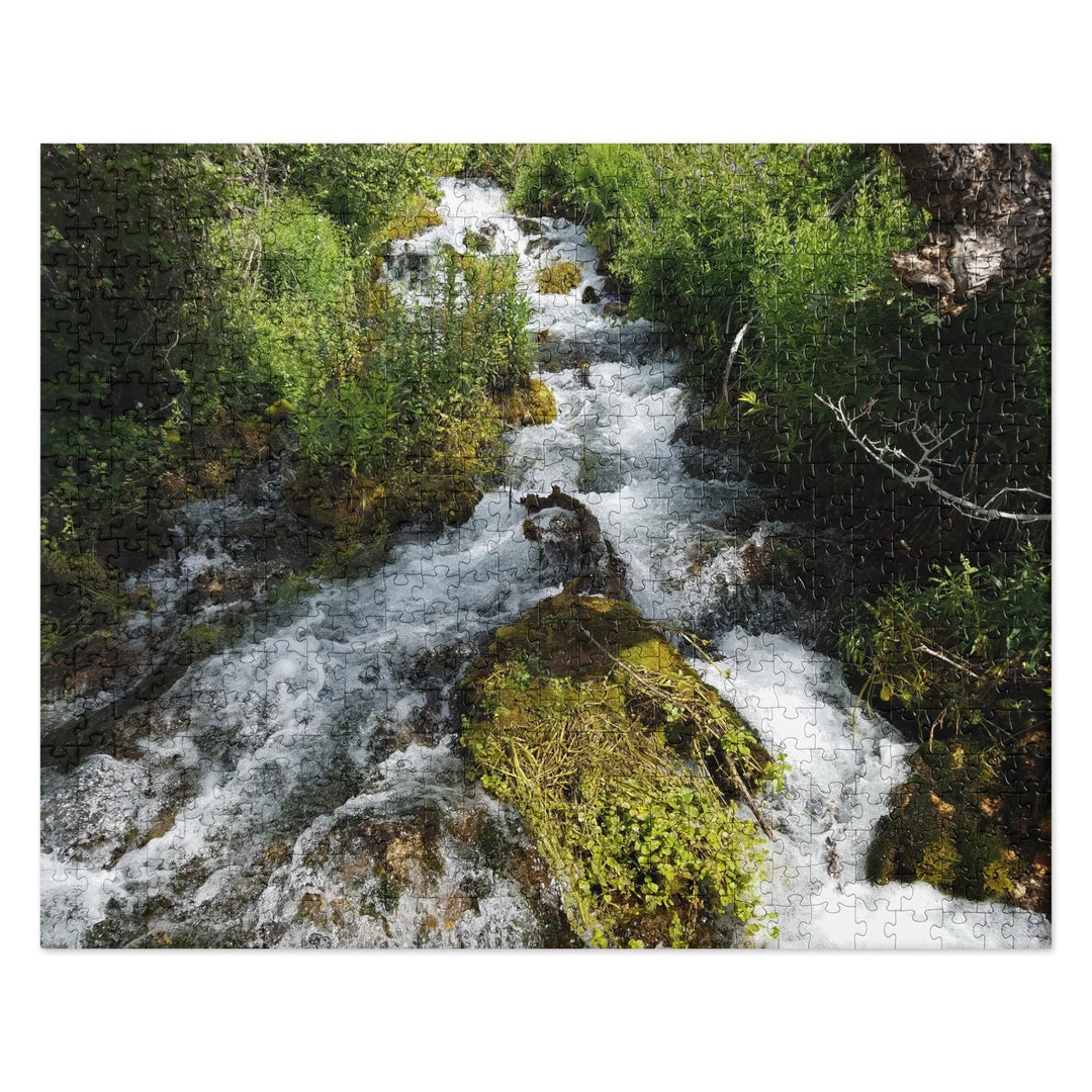 Forest Stream Jigsaw Puzzle Nature Photography Puzzle 252 - Etsy