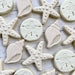 Seashell & Starfish Cookie Cutter Set - Beach Theme - Etsy