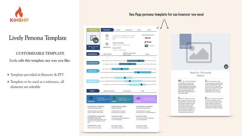 Persona Infographic Template, User Segmentation (powerpoint & Keynote ...