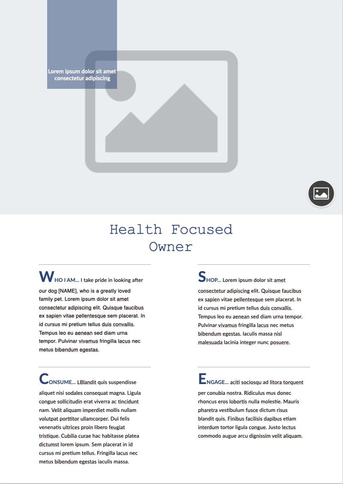 Persona Infographic Template, User Segmentation (powerpoint & Keynote ...
