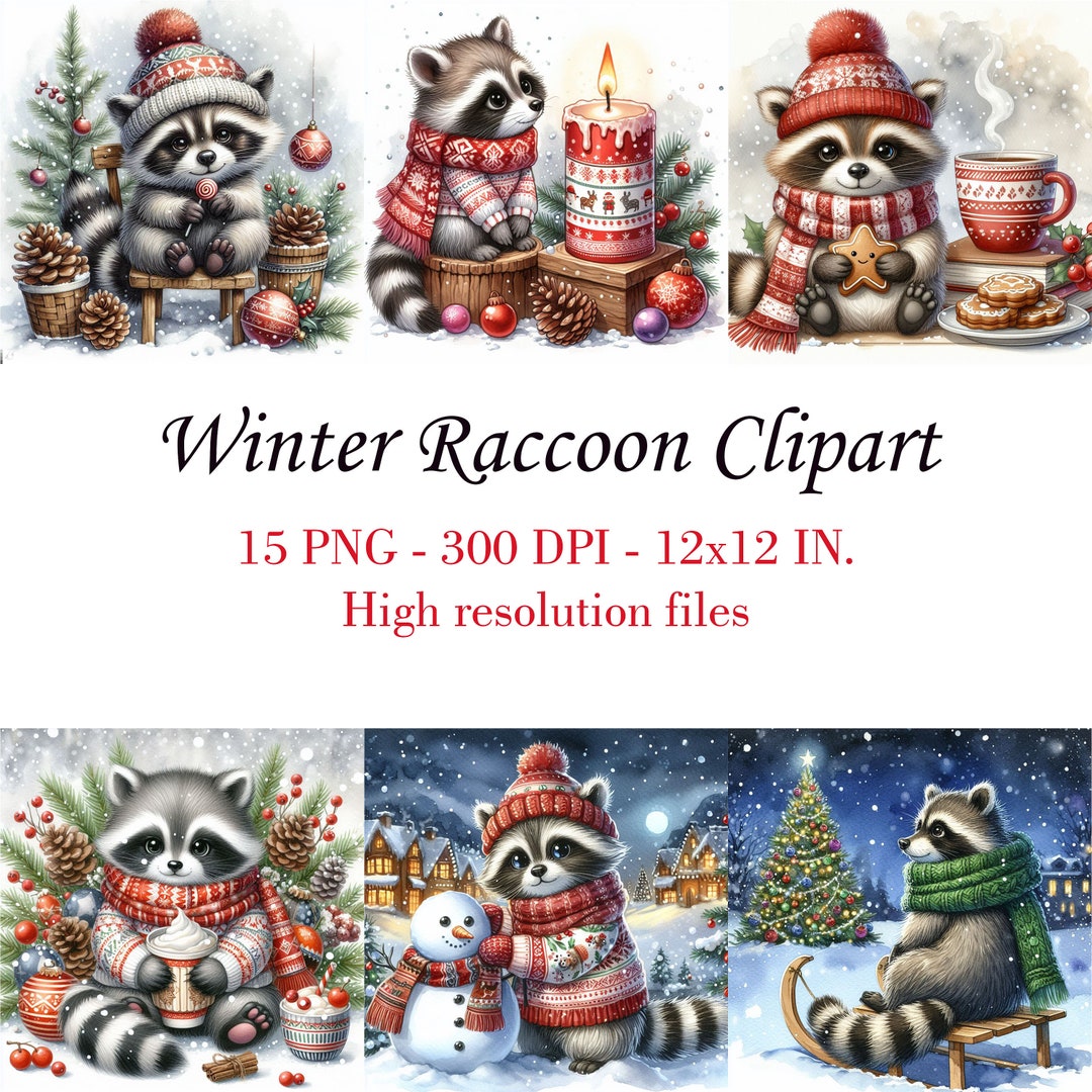 Winter Raccoon Watercolor Clipart, 15 PNG Raccoon Clipart, Cute Raccoon ...