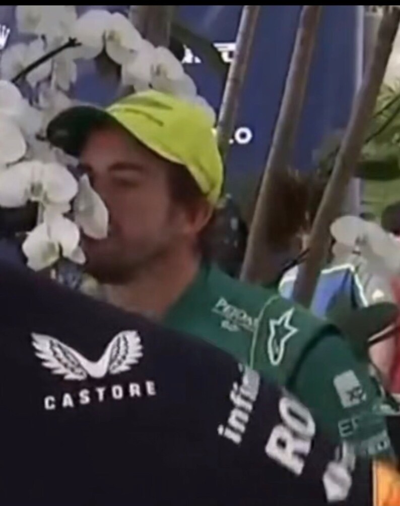 Pegatina de Fernando Alonso Fórmula 1 Aston Martin memes - Etsy España