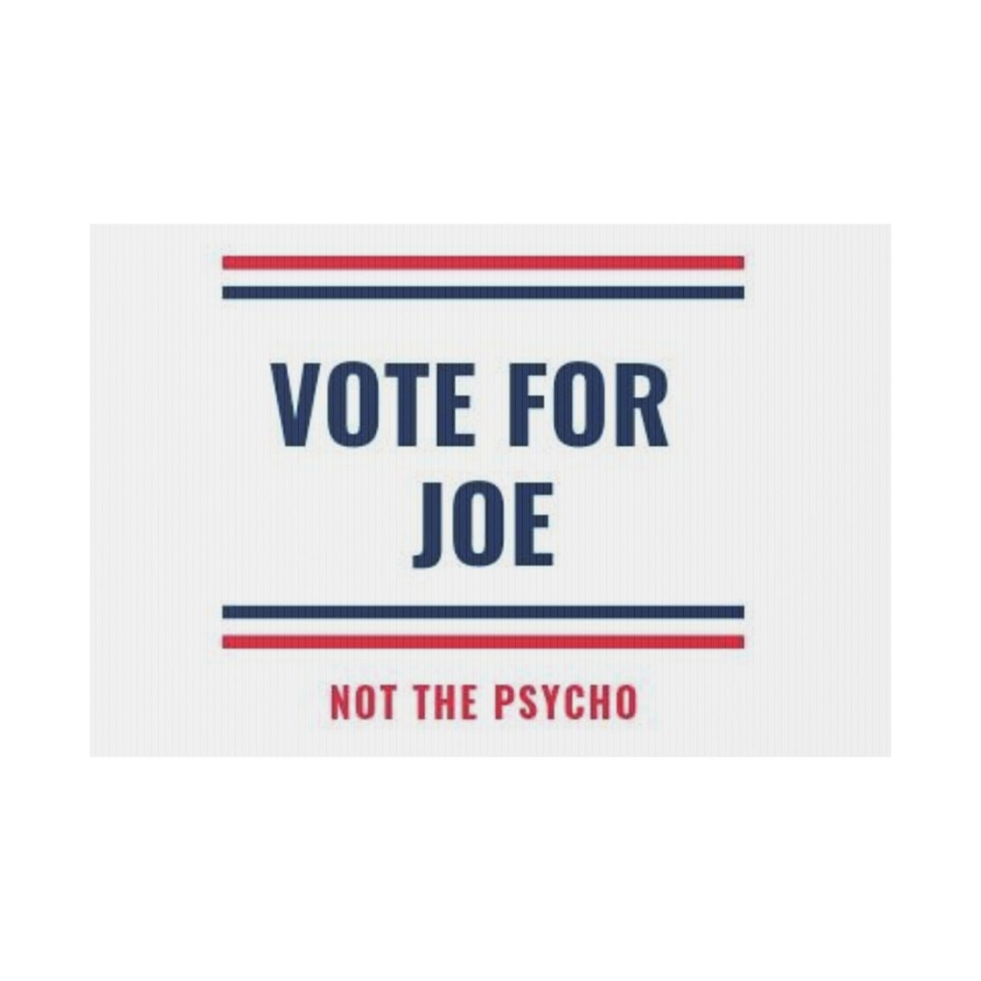 Vote for Joe Plastic Yard Sign - Etsy