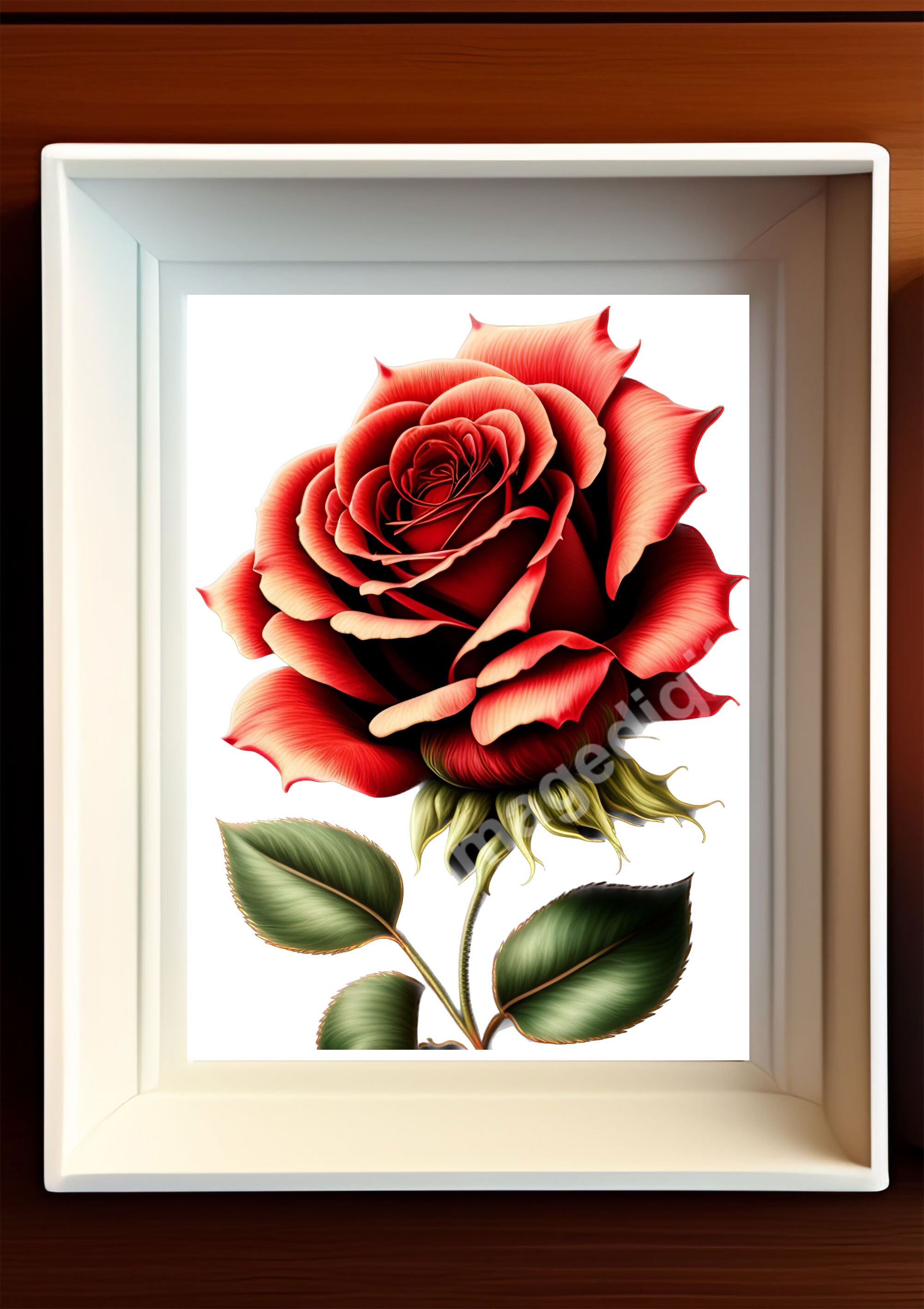 Red Rose on the Background and Without Background Jpg and Png - Etsy Canada