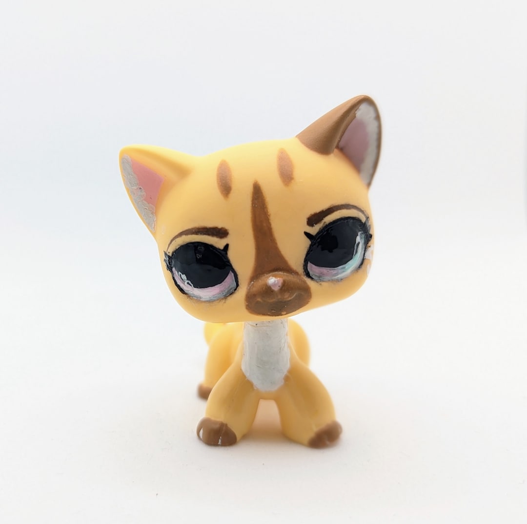 Lps 886 Eye Repaint OOAK Handmade, Lps, Custom, Littlest Pet Shop, Lps ...