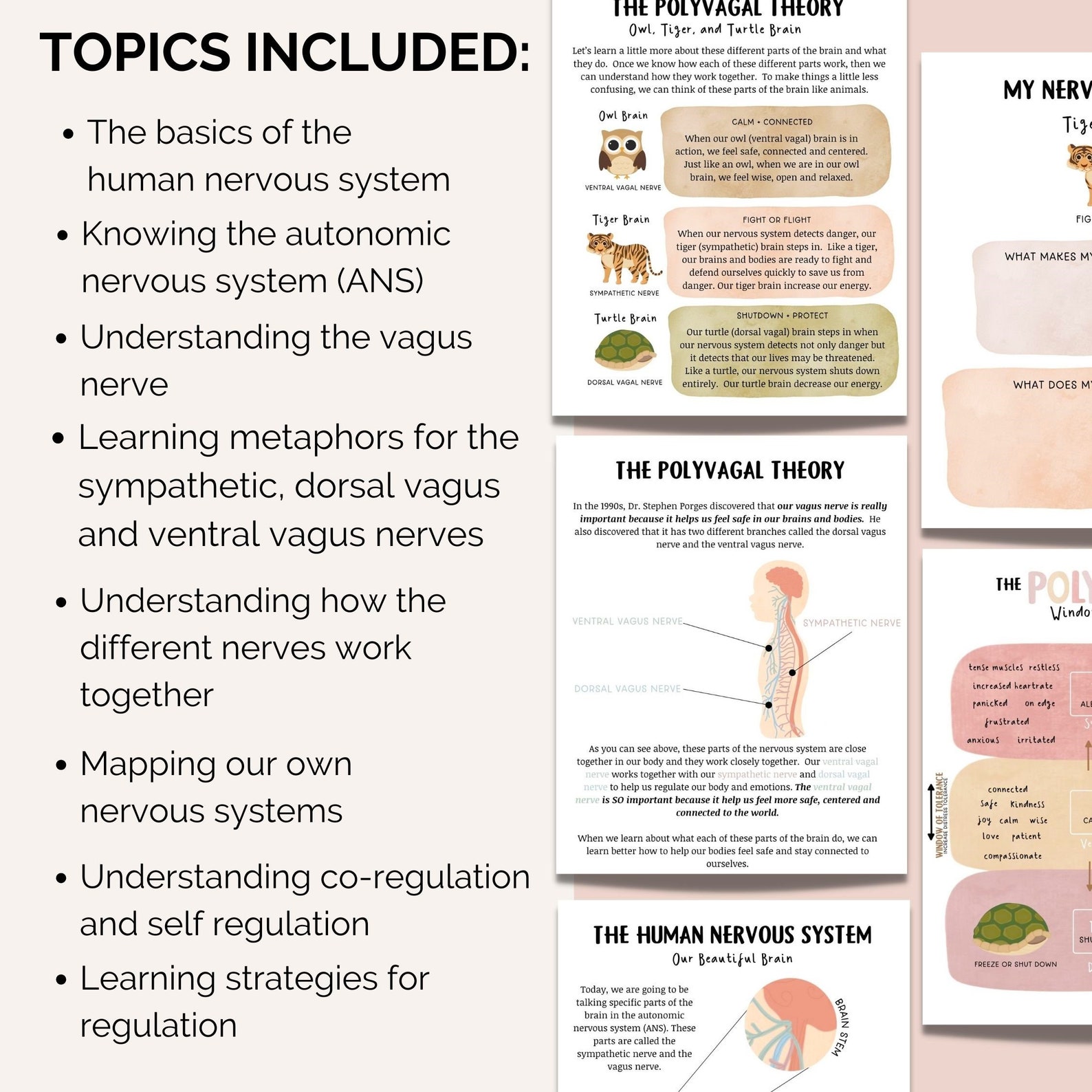 Nervous System Regulation for Kids, Distress Tolerance for Children ...