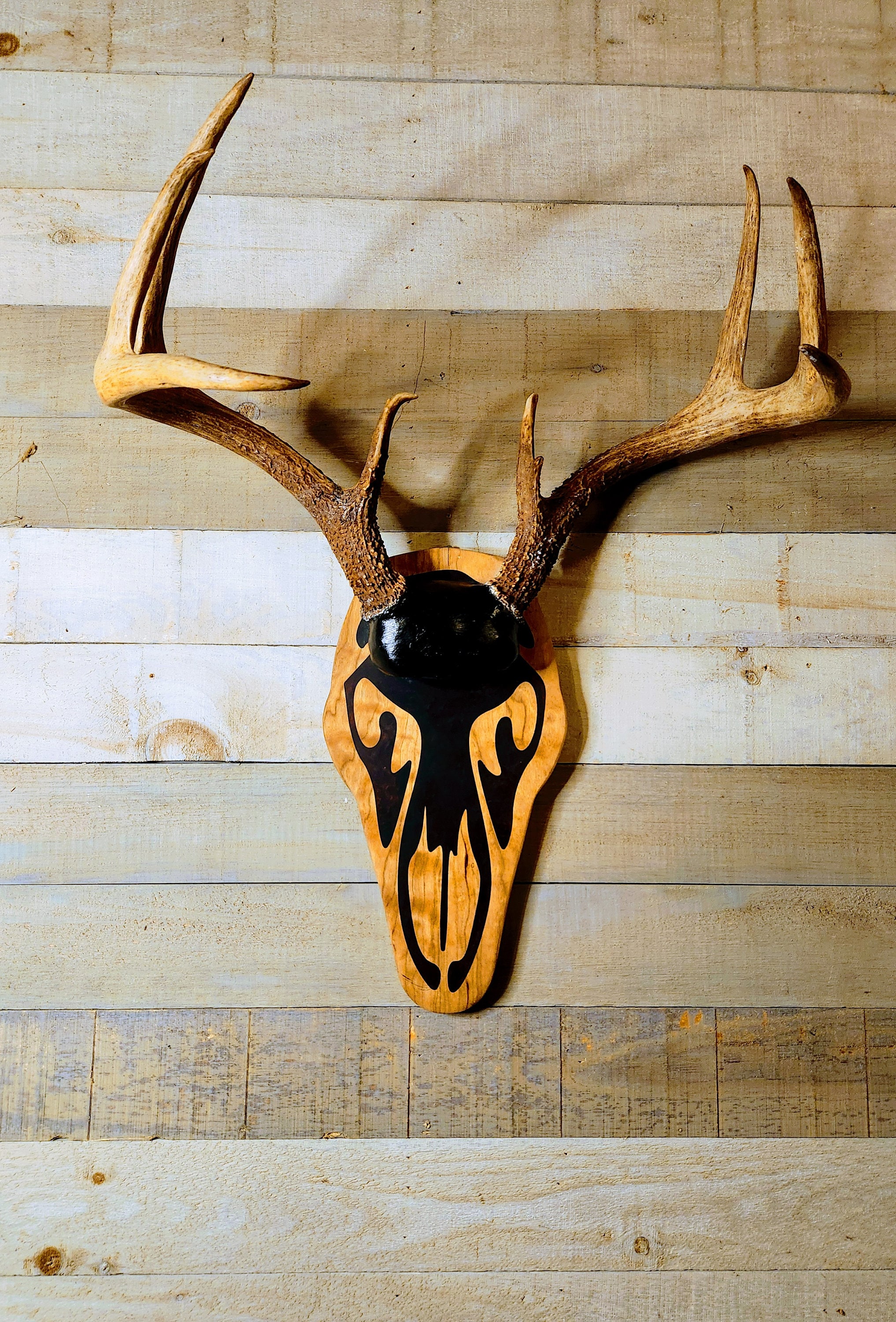 CNC Antler Plaque Skull Shape. Trophy Mounting Plaque. - Etsy