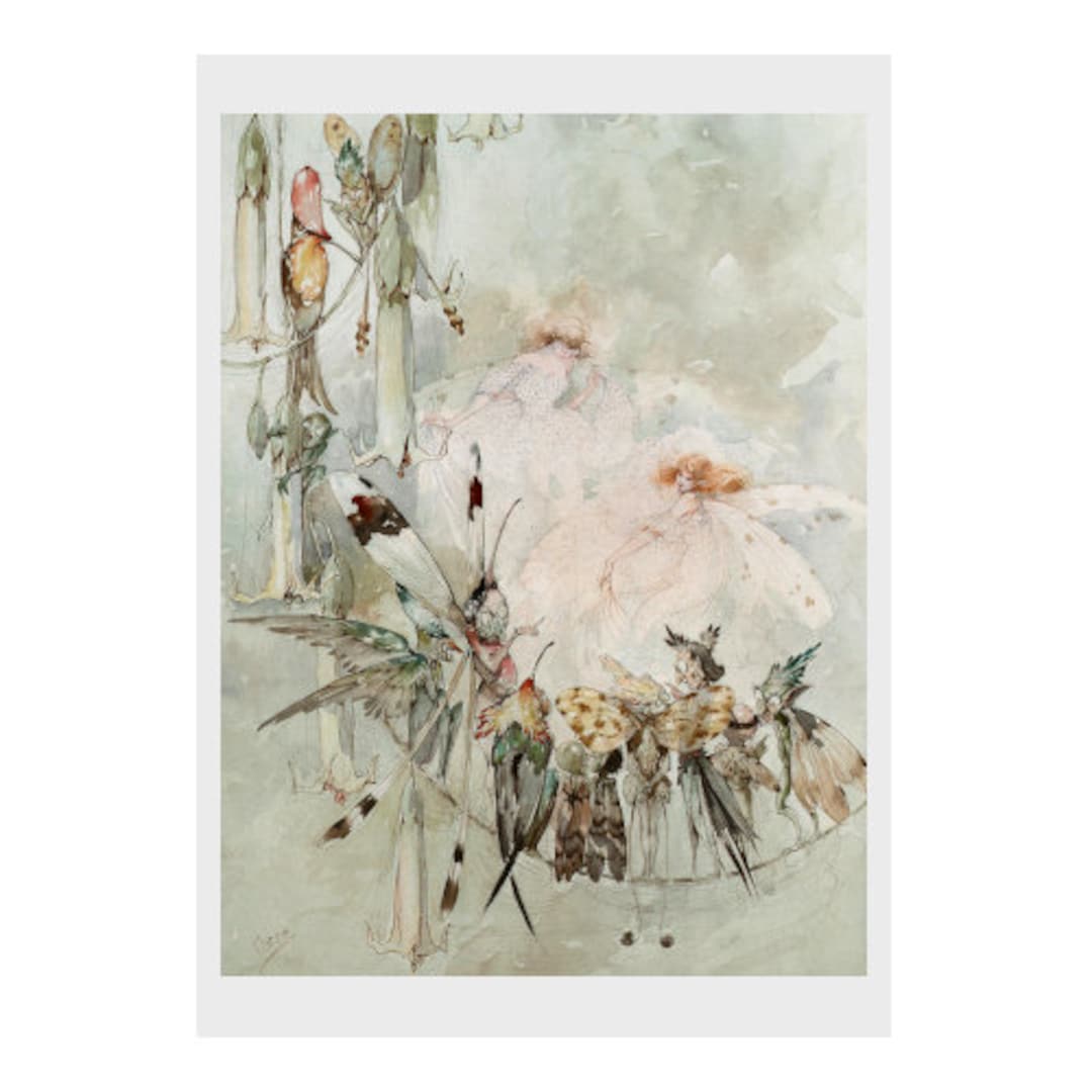 Duncan Carse - 'exotics at Play': Posters and Greeting Cards From the ...