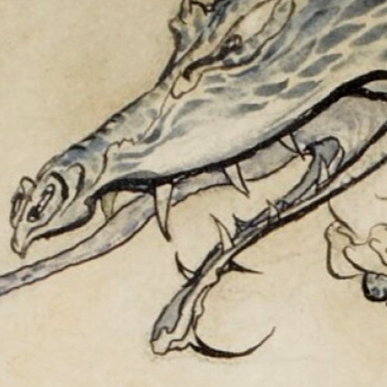 Arthur Rackham, Dragon, Queen, Allies' Fairy Book, Myth, Legend, Golden ...