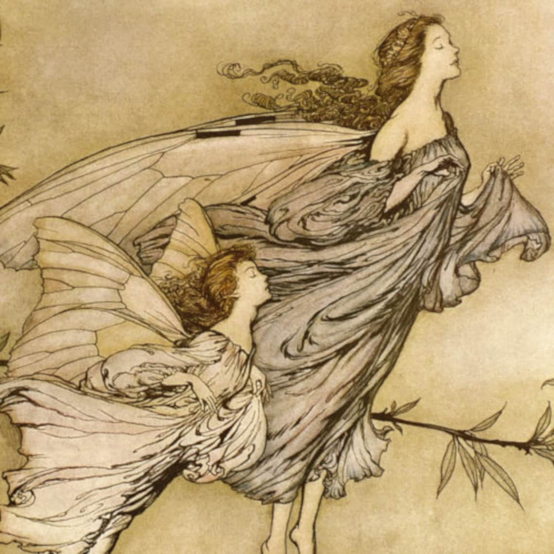 Arthur Rackham, Fairies, Birds, Peter Pan in Kensington Gardens, Fairy ...