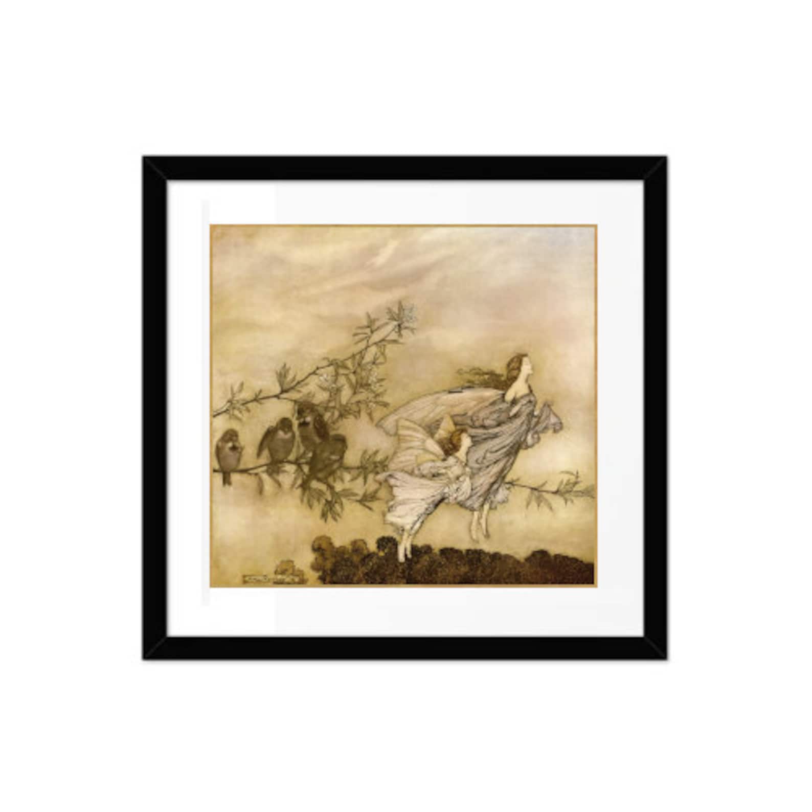 Arthur Rackham, Fairies, Birds, Peter Pan in Kensington Gardens, Fairy ...