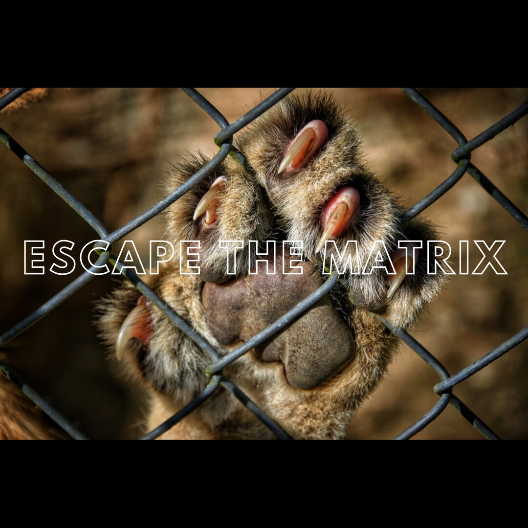 Lion Paw Escape the Matrix PNG Download - Etsy