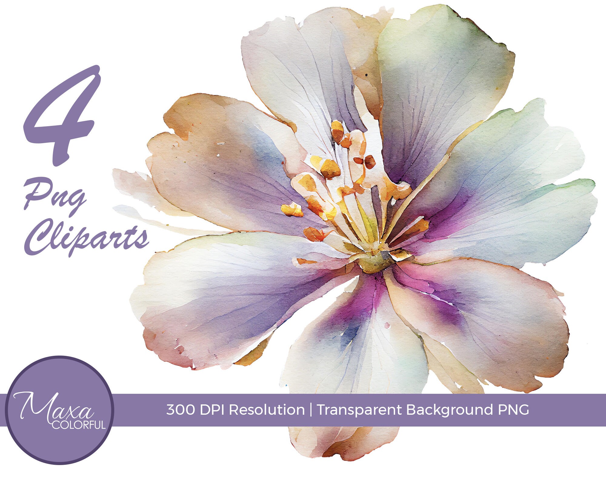 Watercolor Top View Flowers Clipart Png. Digital Watercolor. Floral ...