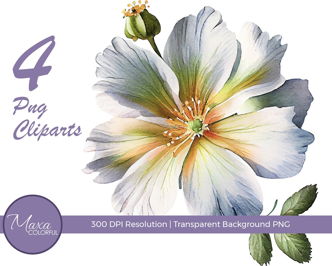 Watercolor Top View Flowers Clipart Png. Digital Watercolor. Floral ...