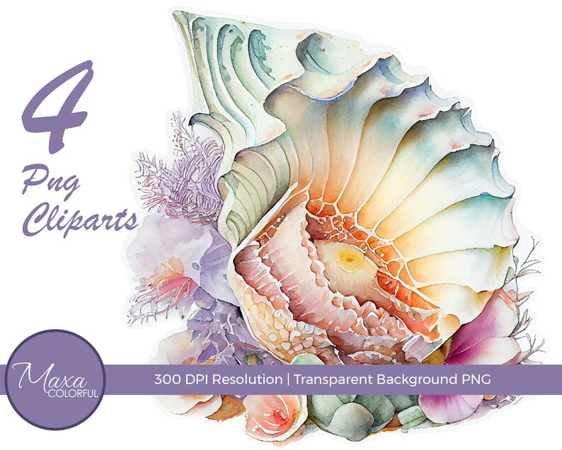 Watercolor Ocean Seashells Clipart Png. Digital Watercolor. Nautical ...