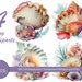 Watercolor Ocean Seashells Clipart Png. Digital Watercolor. Nautical ...